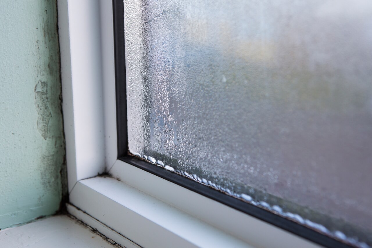 Humidity in Your Home - Bronze Star Home Inspections